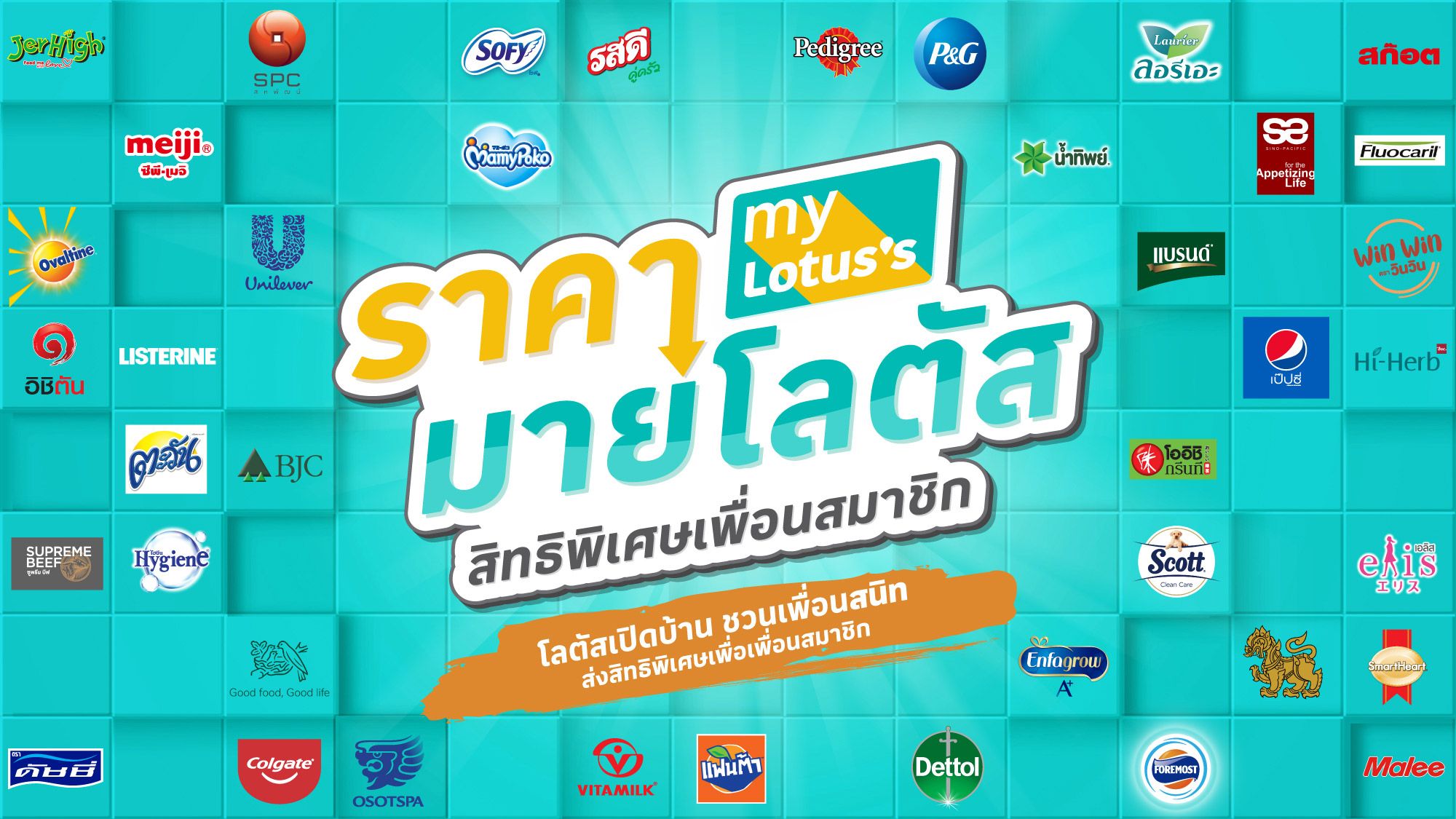 Lotus's: A Little Delight Every Day